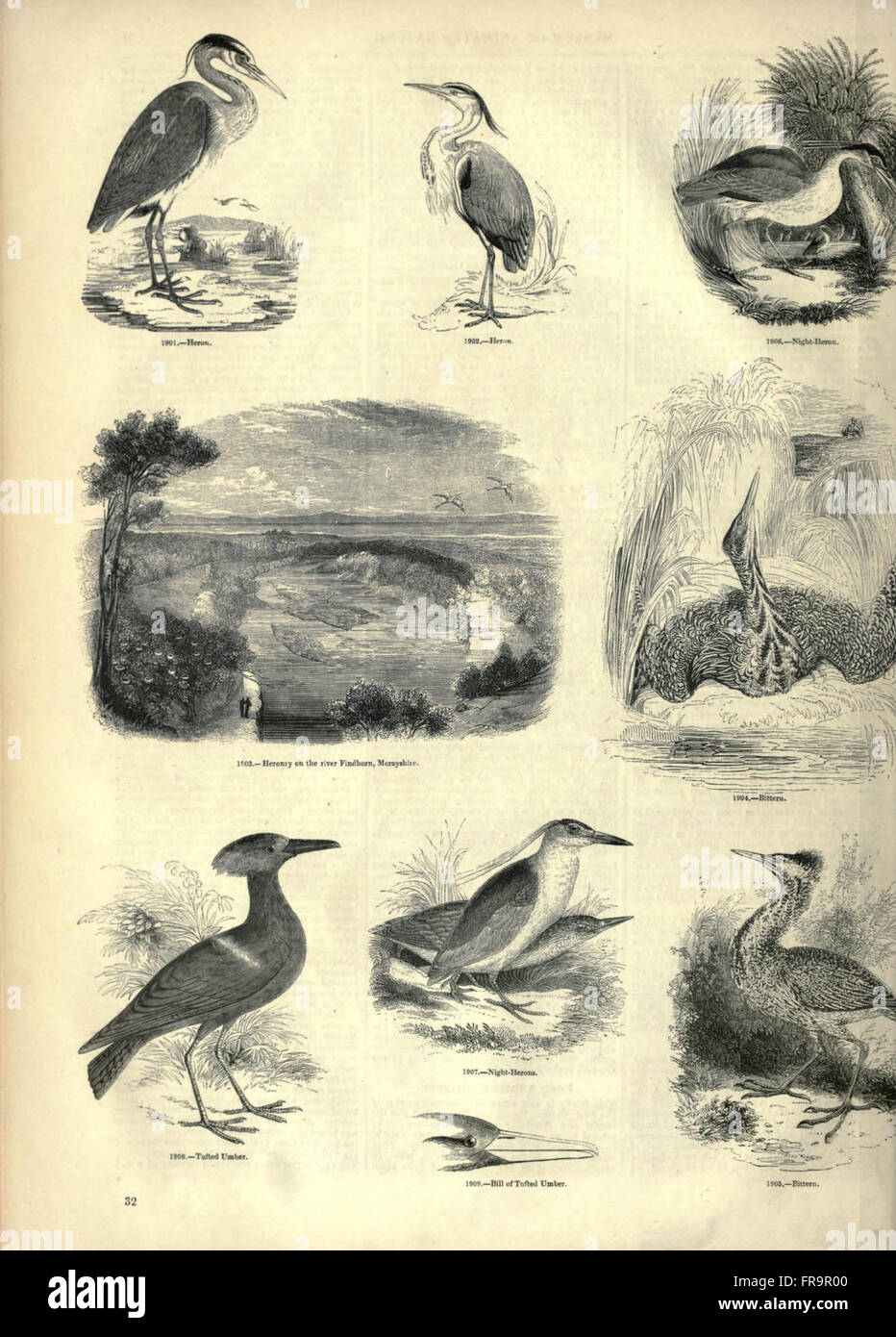 The Pictorial Museum of Animated Nature offers visual depictions of ...