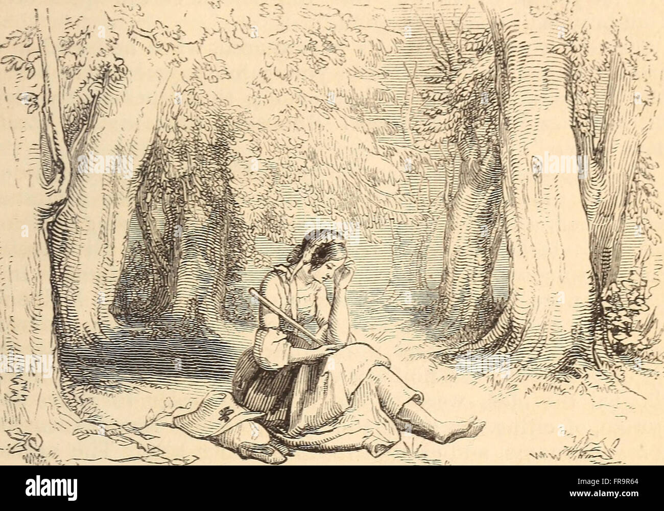 Musaeus hi-res stock photography and images - Alamy