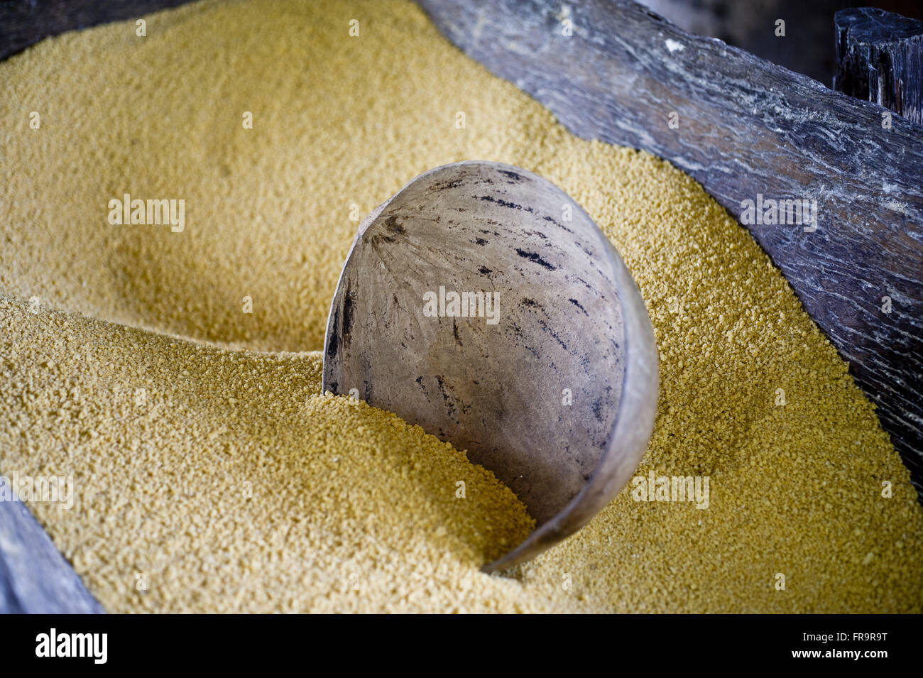 Manioc hi-res stock photography and images - Alamy