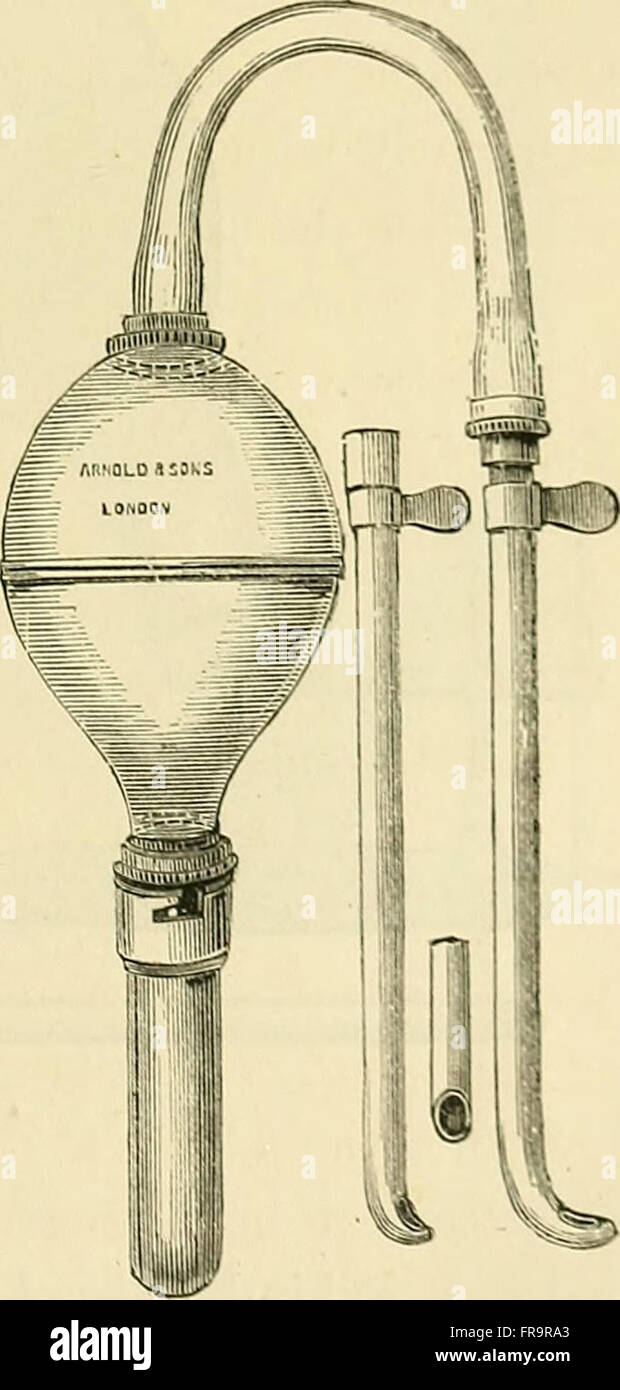 Litholapaxy hi-res stock photography and images - Alamy