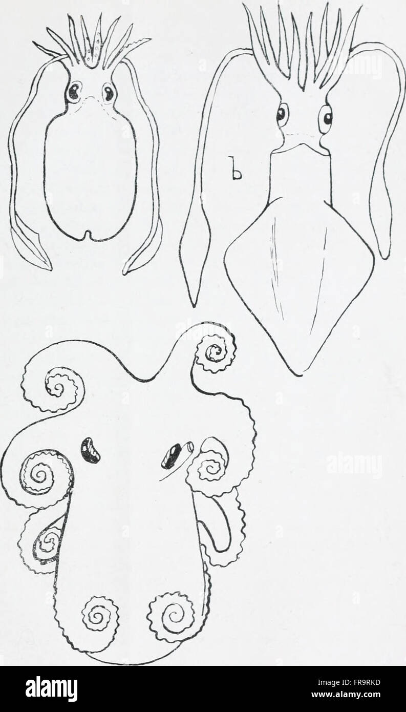'The Evolution of the Dragon' (1919) explores the historical and ...