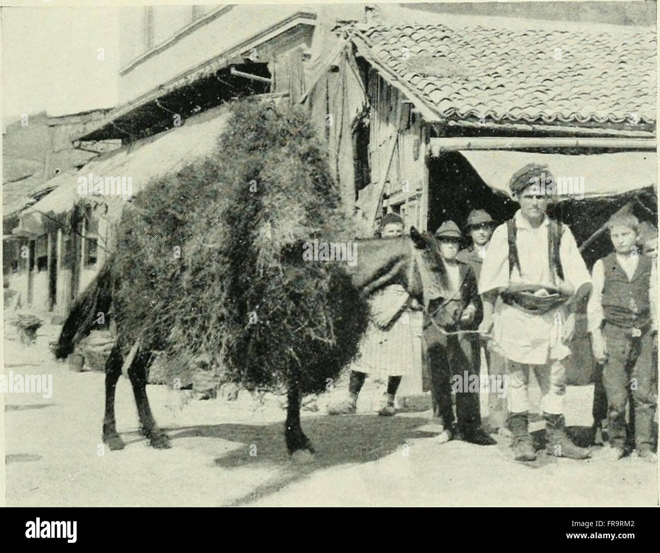 'The Slavs of the War Zone' (1916) explores the impact of war on Slavic ...