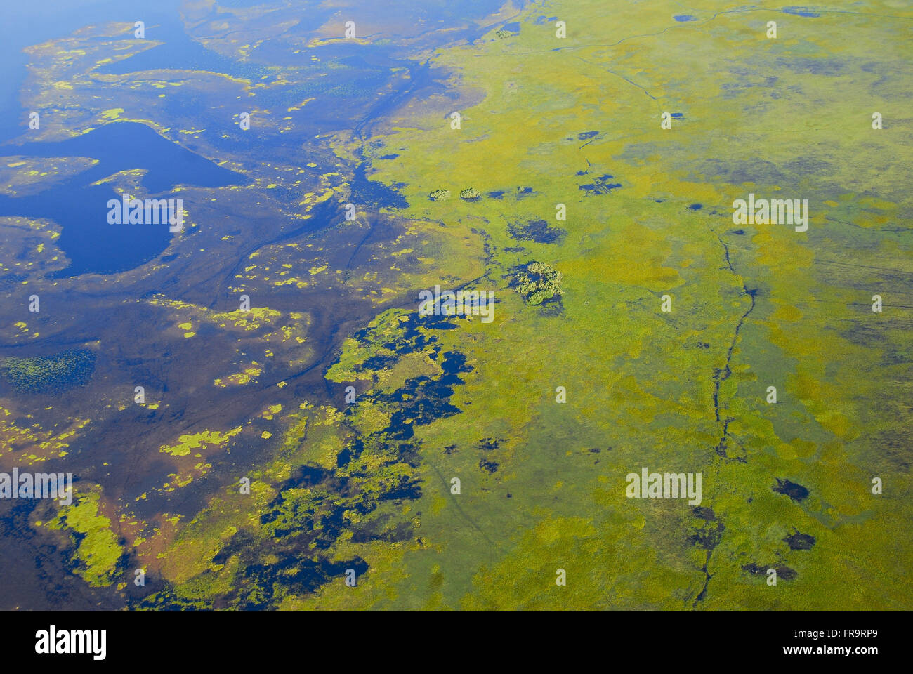 Wetland aerial hi-res stock photography and images - Alamy