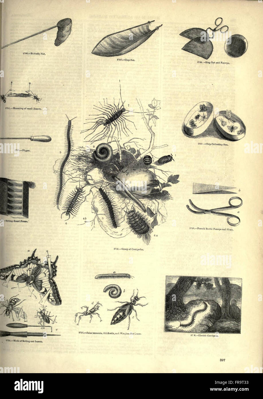 The Pictorial Museum of Animated Nature showcases a collection of ...