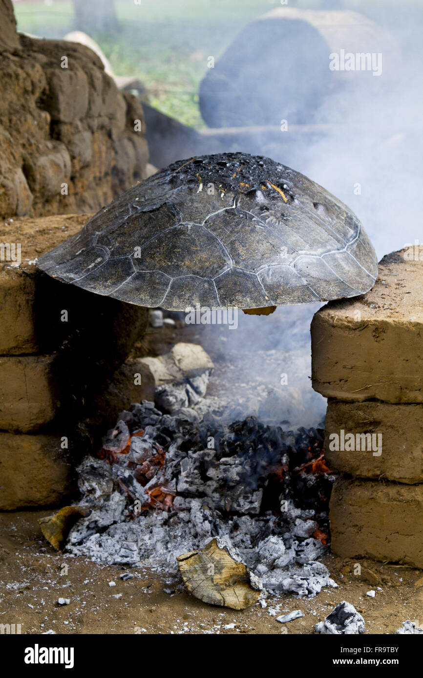 Turtle-the-amazon roasting over coals - also known as turtle-true Stock ...