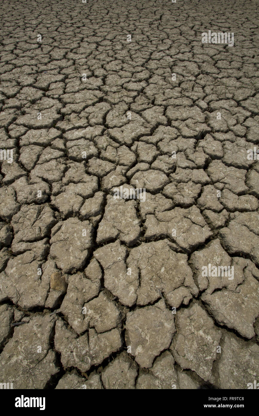 Dry cracked earth hi-res stock photography and images - Alamy