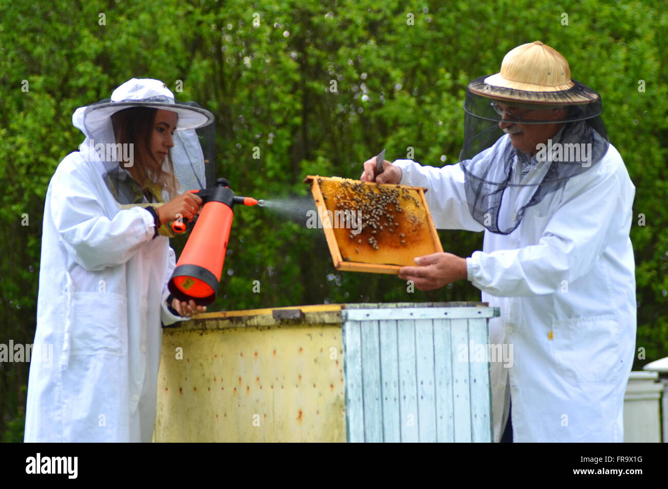 two beekeepers in apiary Stock Photo - Alamy