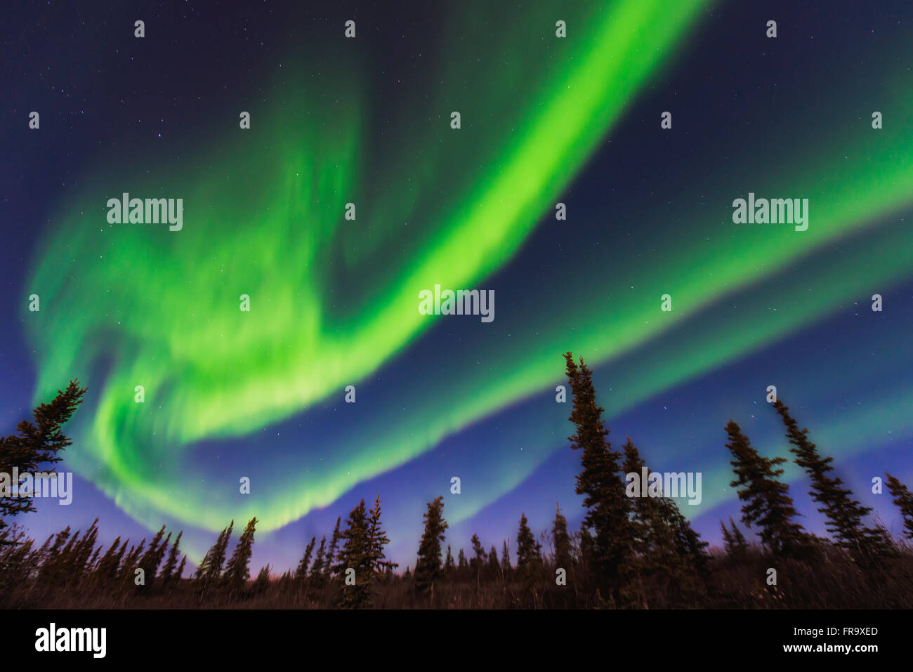 Northwest arctic silhouette hi-res stock photography and images - Alamy
