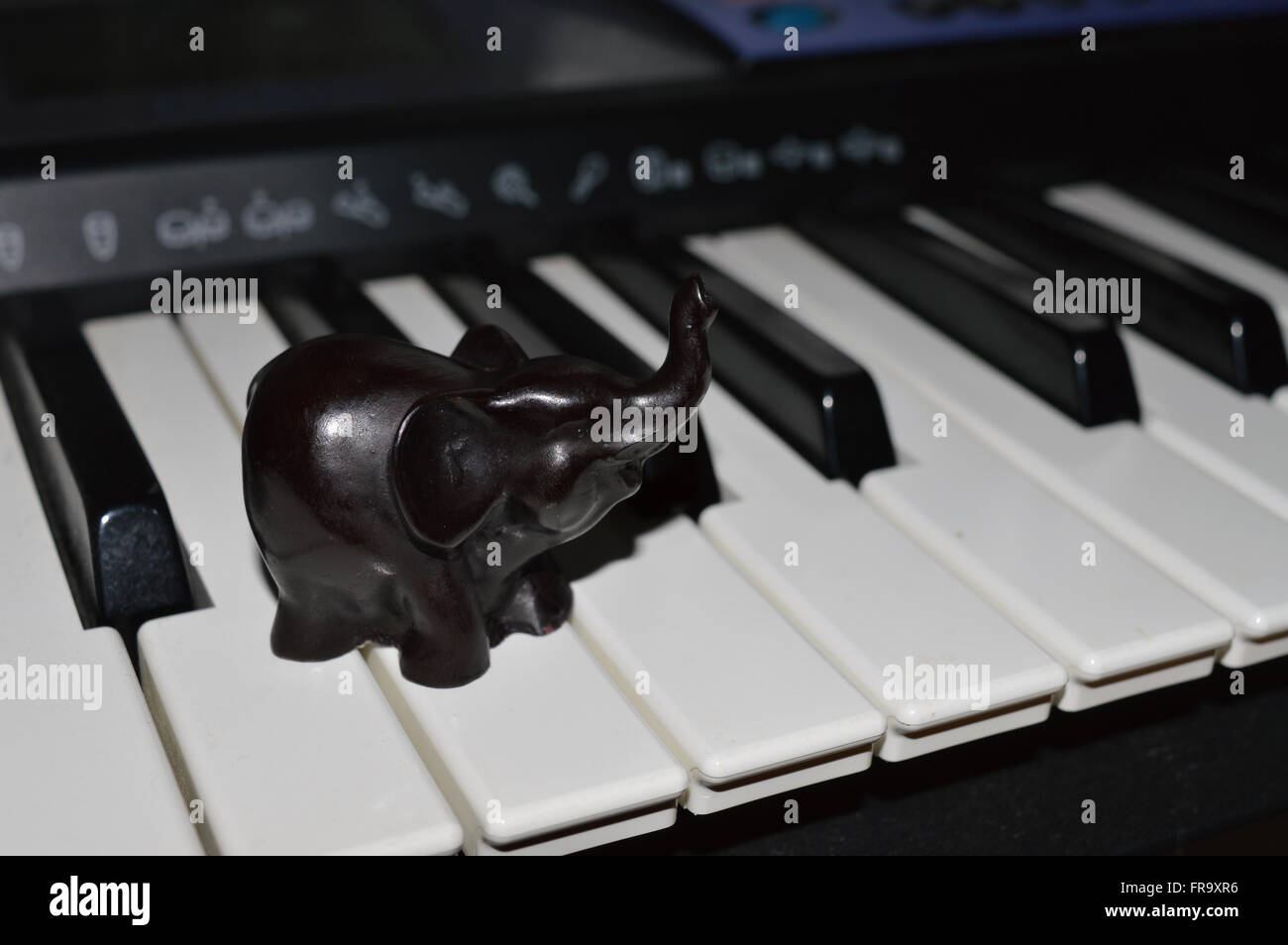 Elephant on Keyboard Stock Photo - Alamy