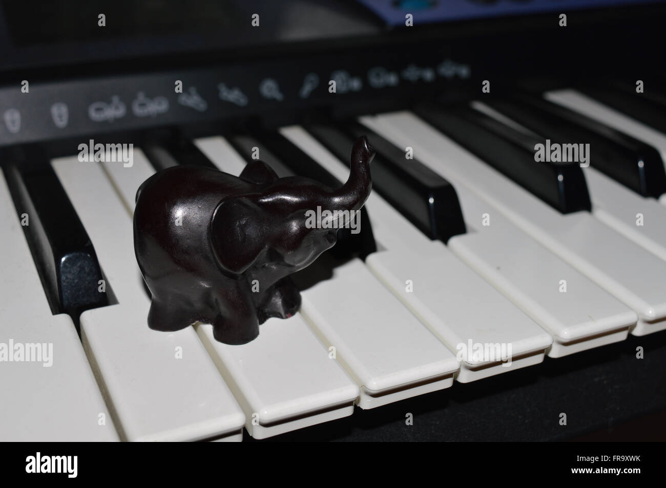 Elephant on Keyboard Stock Photo - Alamy