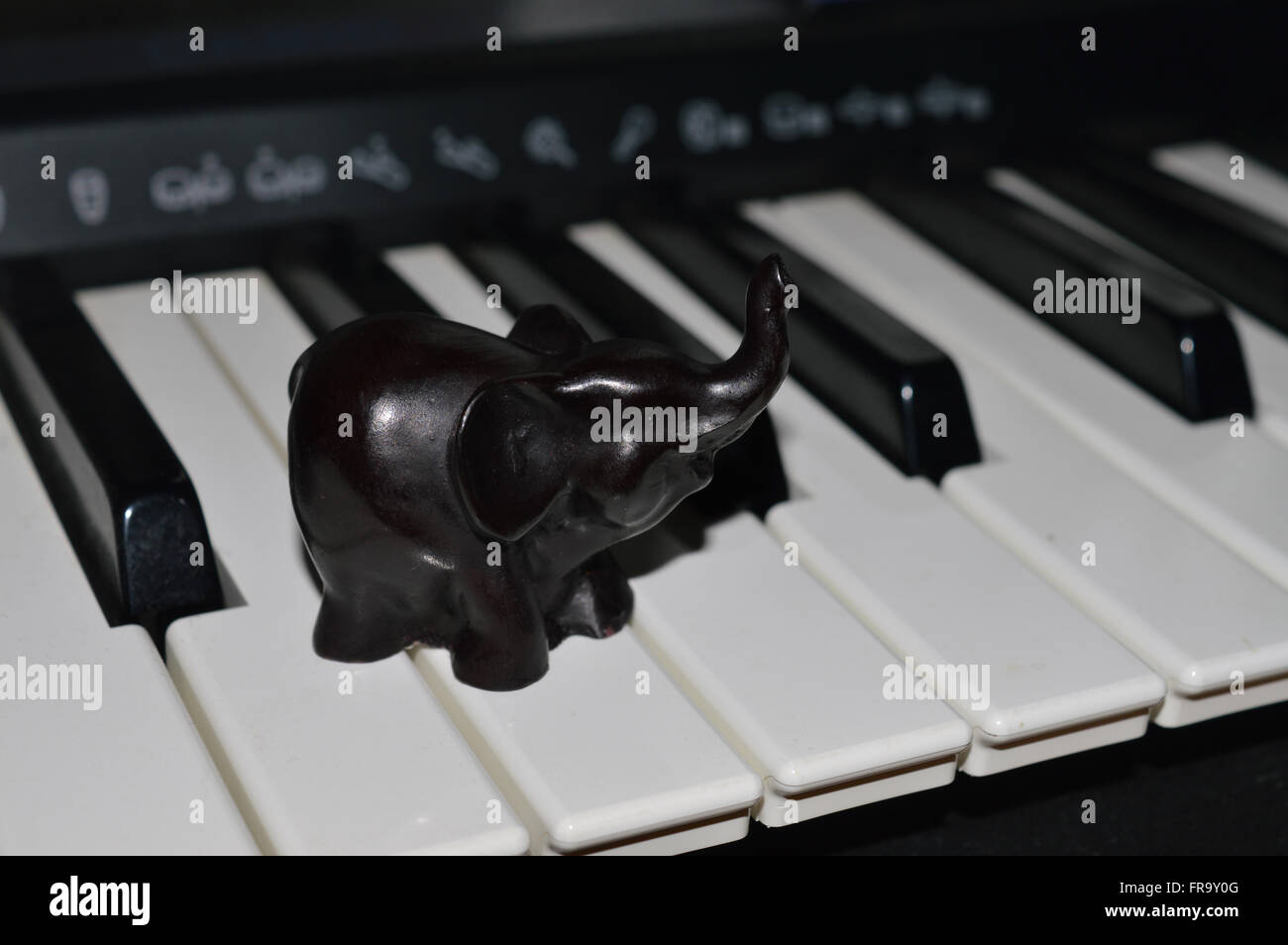 Elephant on Keyboard Stock Photo - Alamy