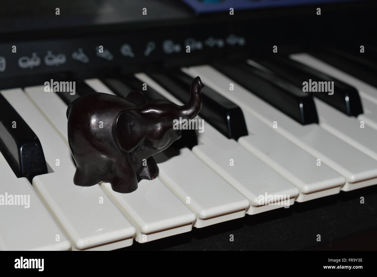 Elephant on Keyboard Stock Photo - Alamy