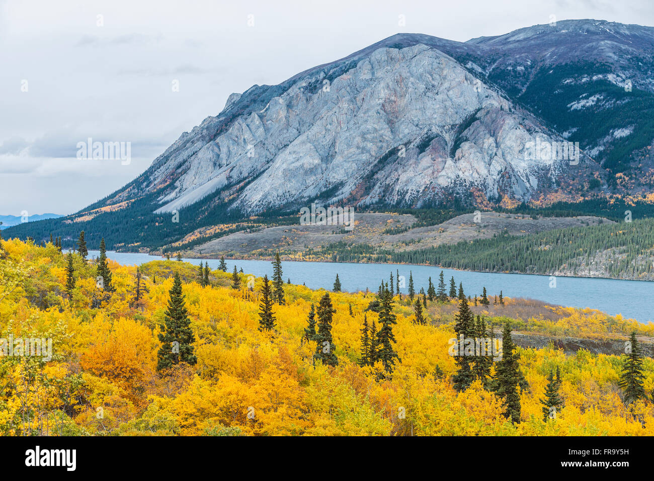 Tagish yukon hi-res stock photography and images - Alamy