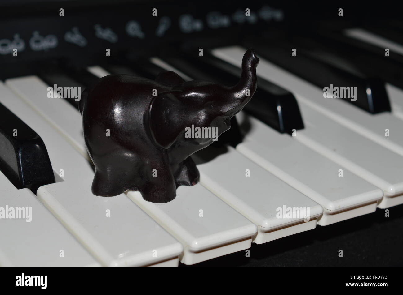Elephant on Keyboard Stock Photo - Alamy