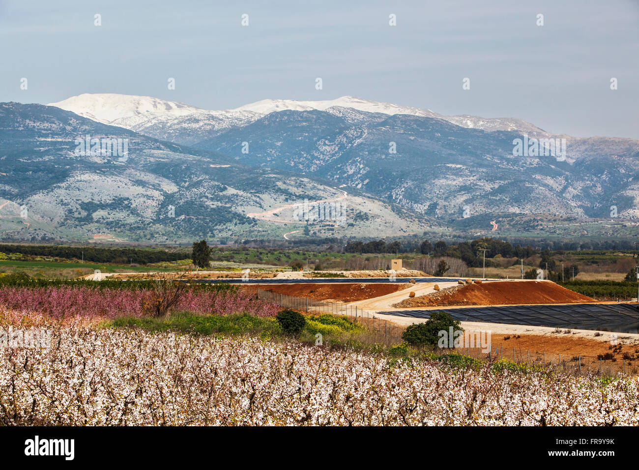 Colourful landscape with snow capped mountains in the distance; Israel ...
