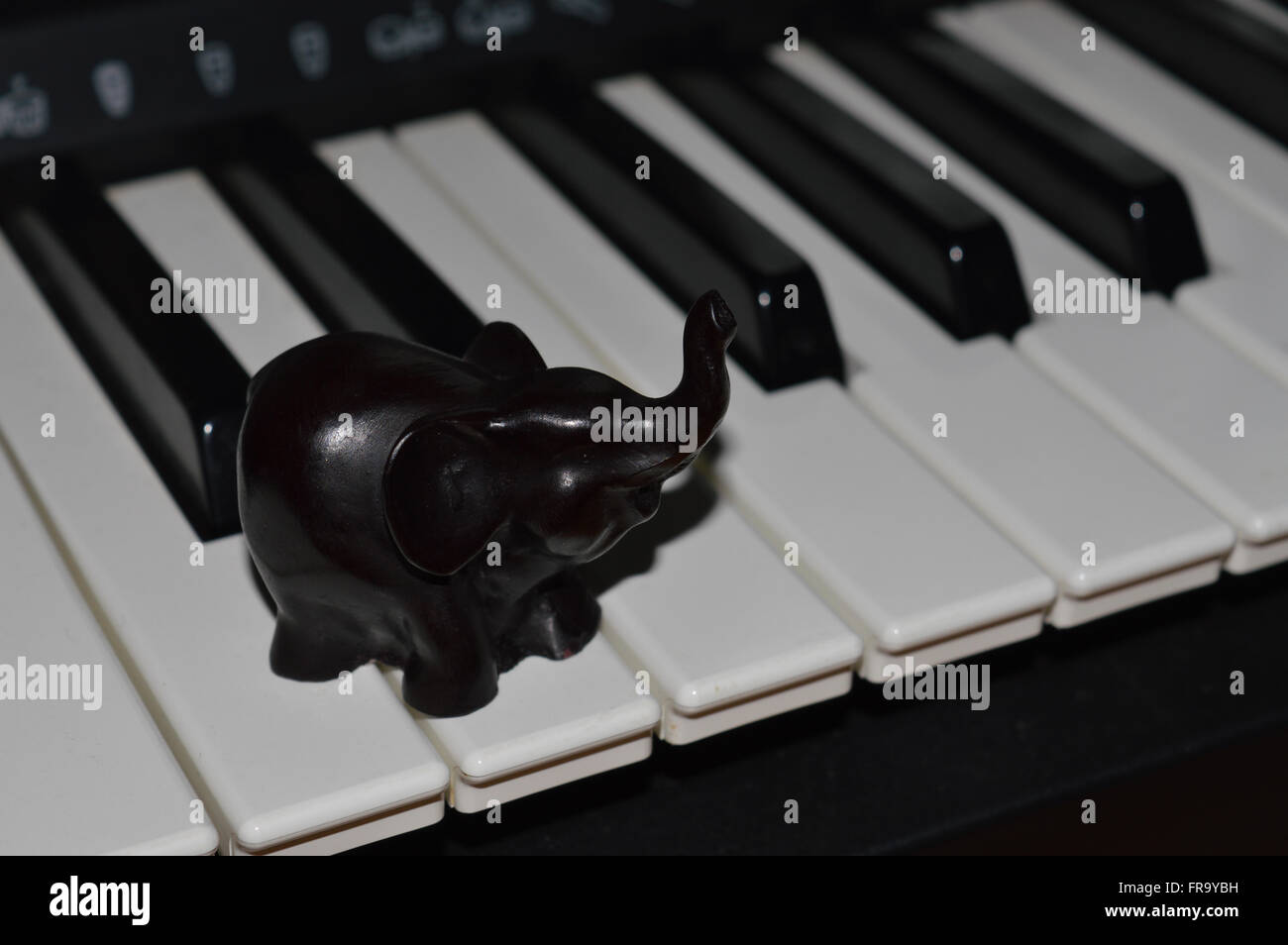 Elephant on Keyboard Stock Photo - Alamy