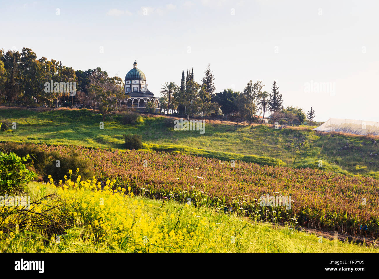 Mount of Beatitudes; Israel Stock Photo - Alamy