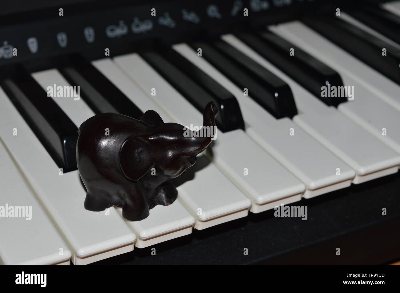 Elephant on Keyboard Stock Photo - Alamy