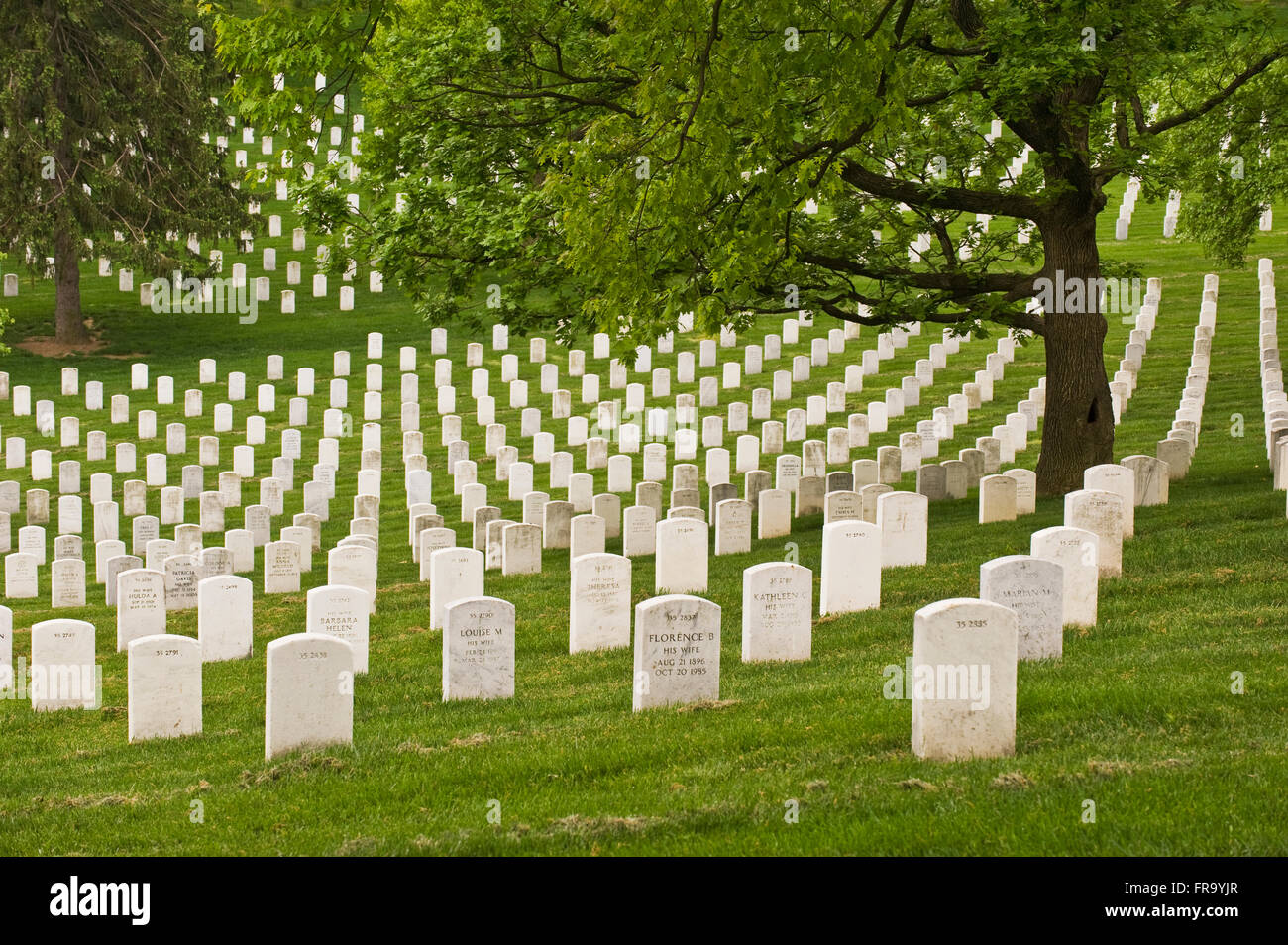 Rows of grave stones at Arlington National Cemetery; Arlington ...