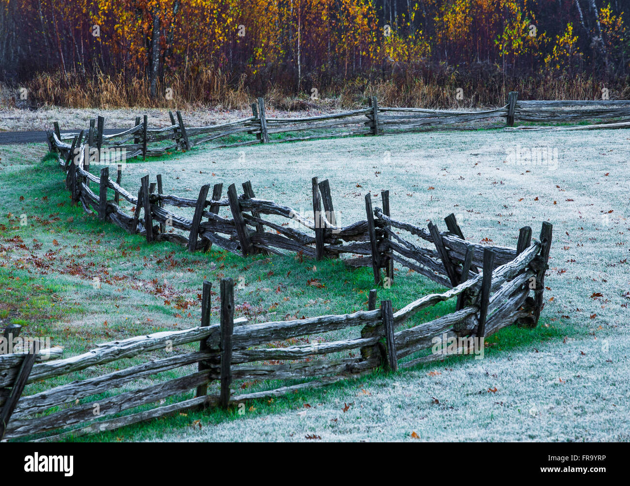 Wooden rail fence in a frost covered grass field with trees in autumn ...