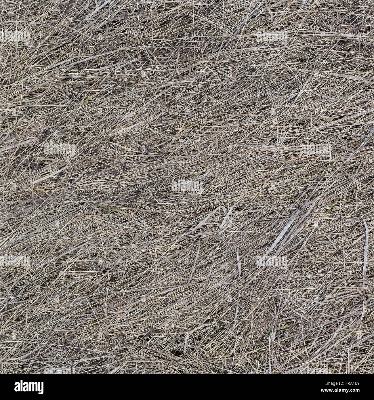 Dry old grass hey texture horizontal and vertical seamless background ...