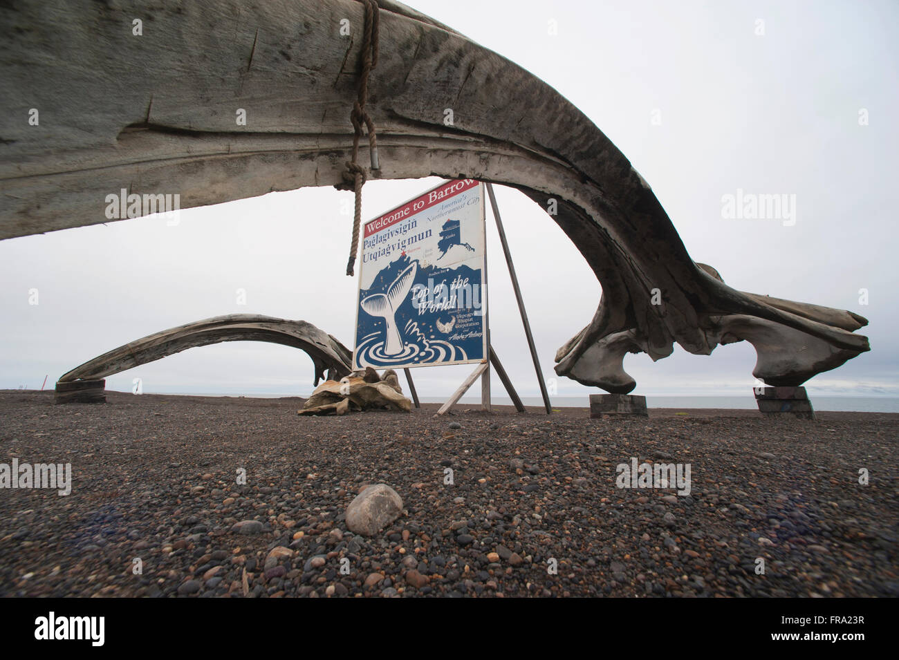 Welcome to Barrow sign and a bowhead whale vertebrate bone, North Slope ...