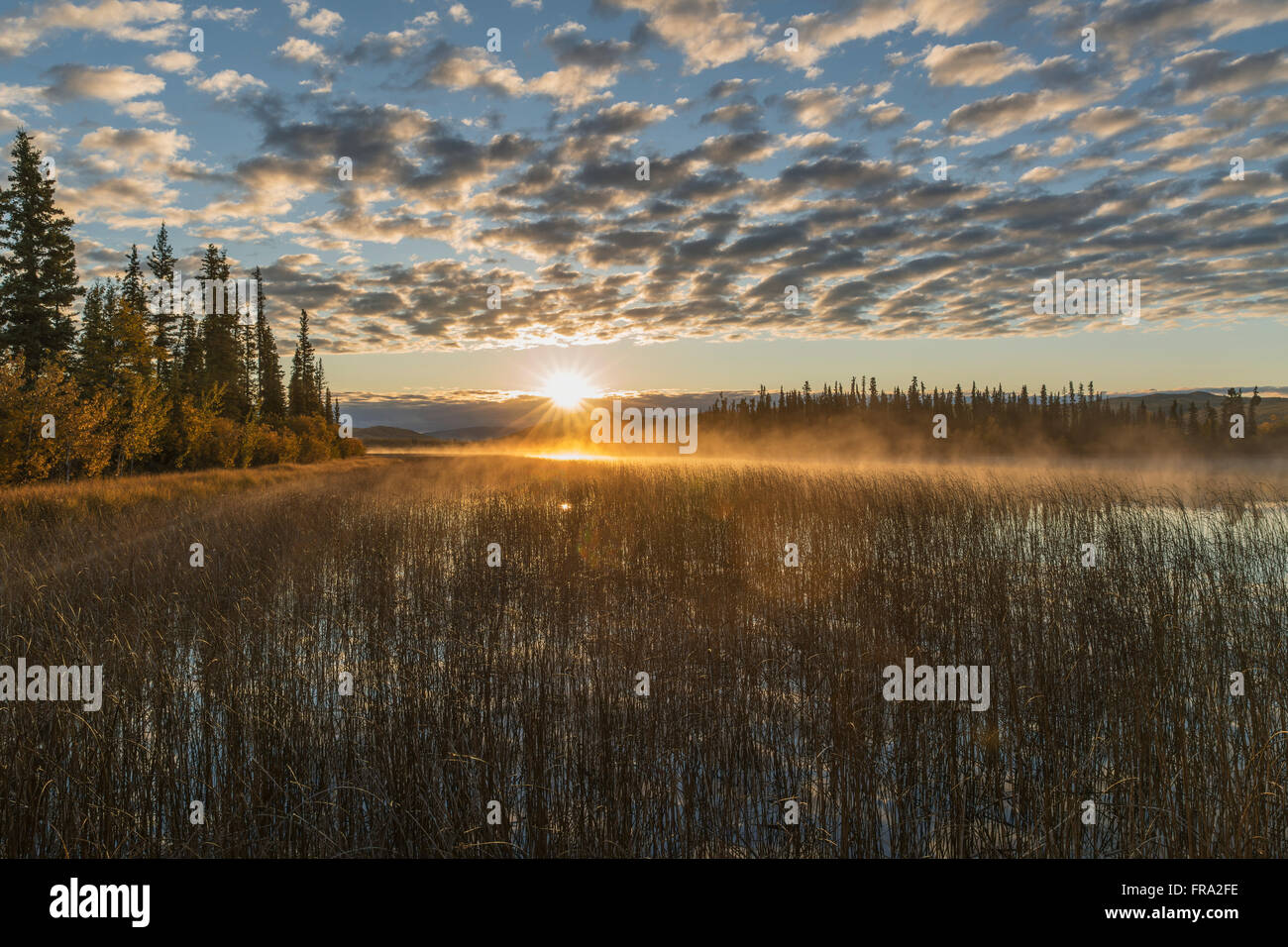 Fall color in Tombstone Territorial Park, Yukon Territory, Canada Stock ...
