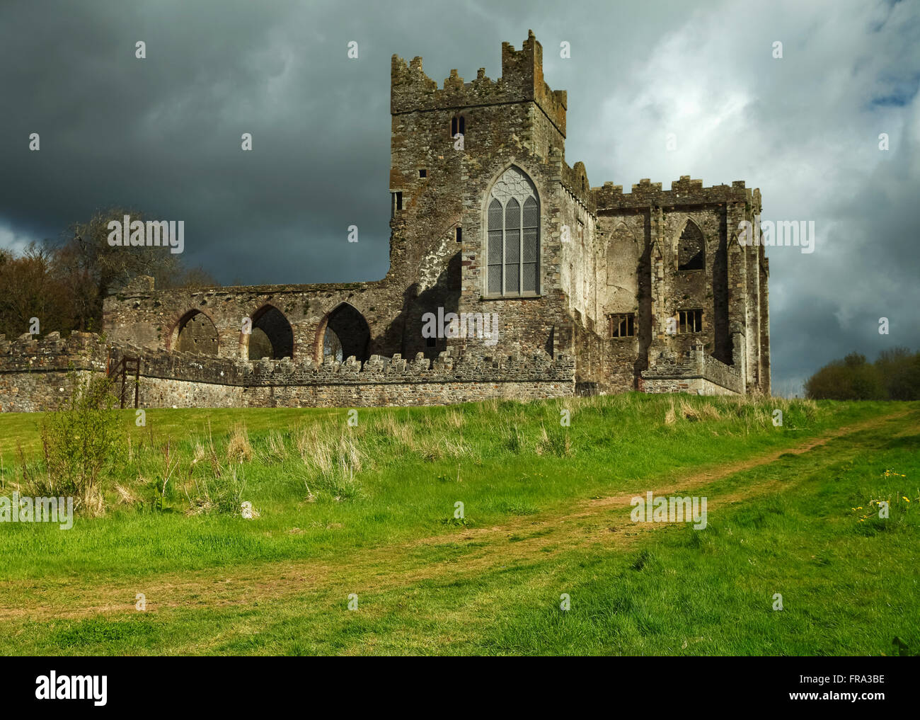 Tintern abbey; County Wexford, Ireland Stock Photo - Alamy