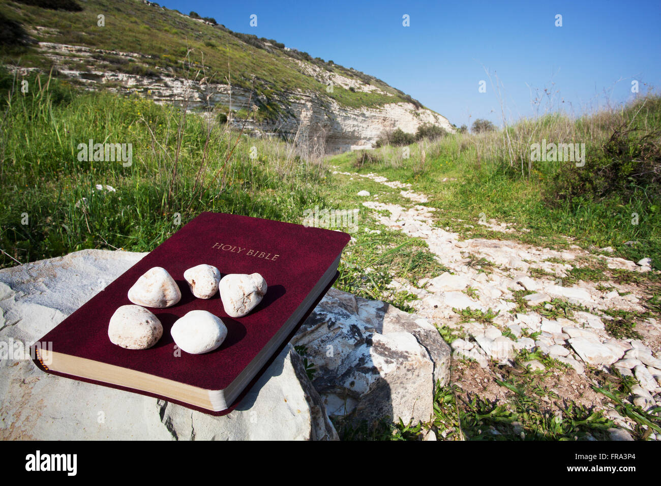 The Valley of Elah where David slew Goliath; Israel Stock Photo - Alamy