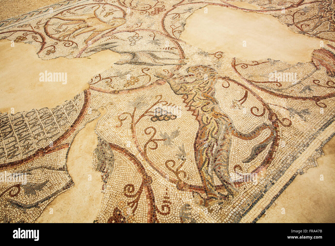 Mosaic floor displayed at the Samaritan Inn from the synagoge at Gaza ...
