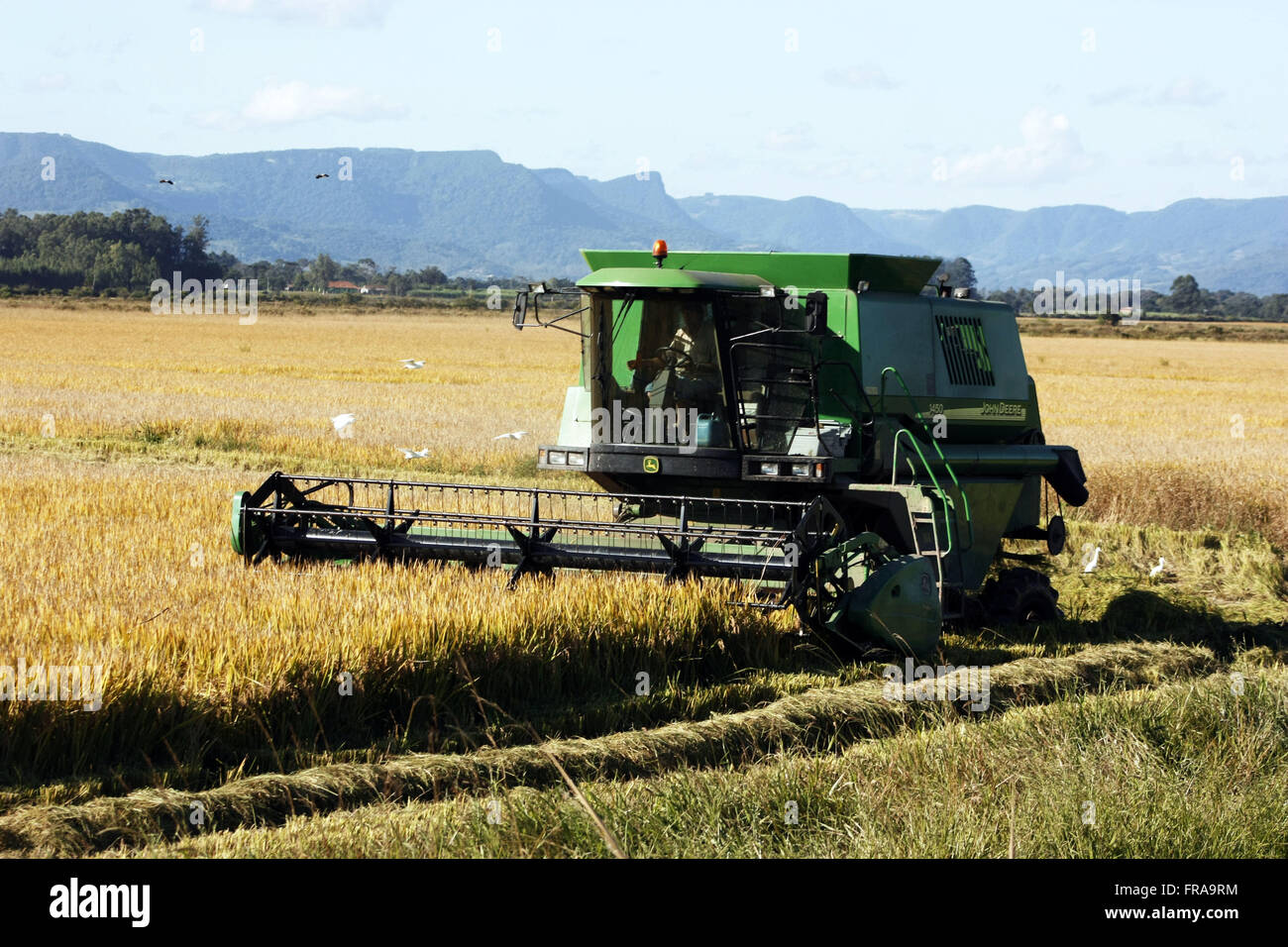 Rice harvesting combine hi-res stock photography and images - Alamy
