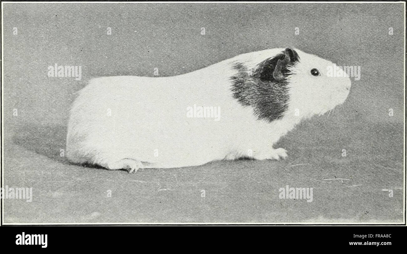 This study examines the effects of inbreeding and crossbreeding on ...