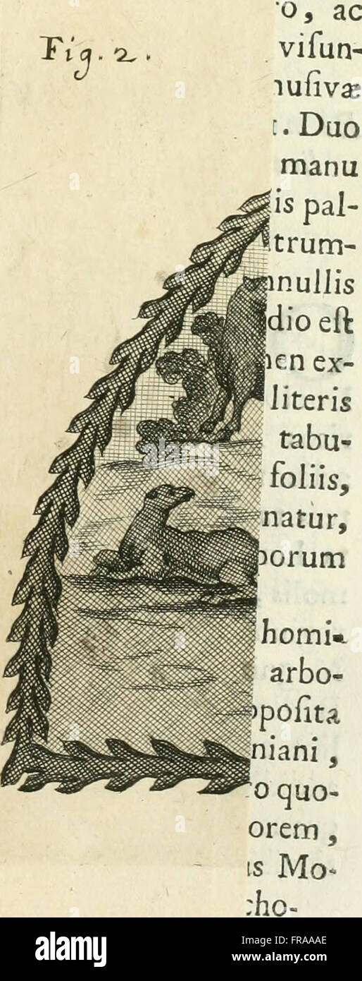 This 1690 work explores ancient mosaics and the structures of sacred ...