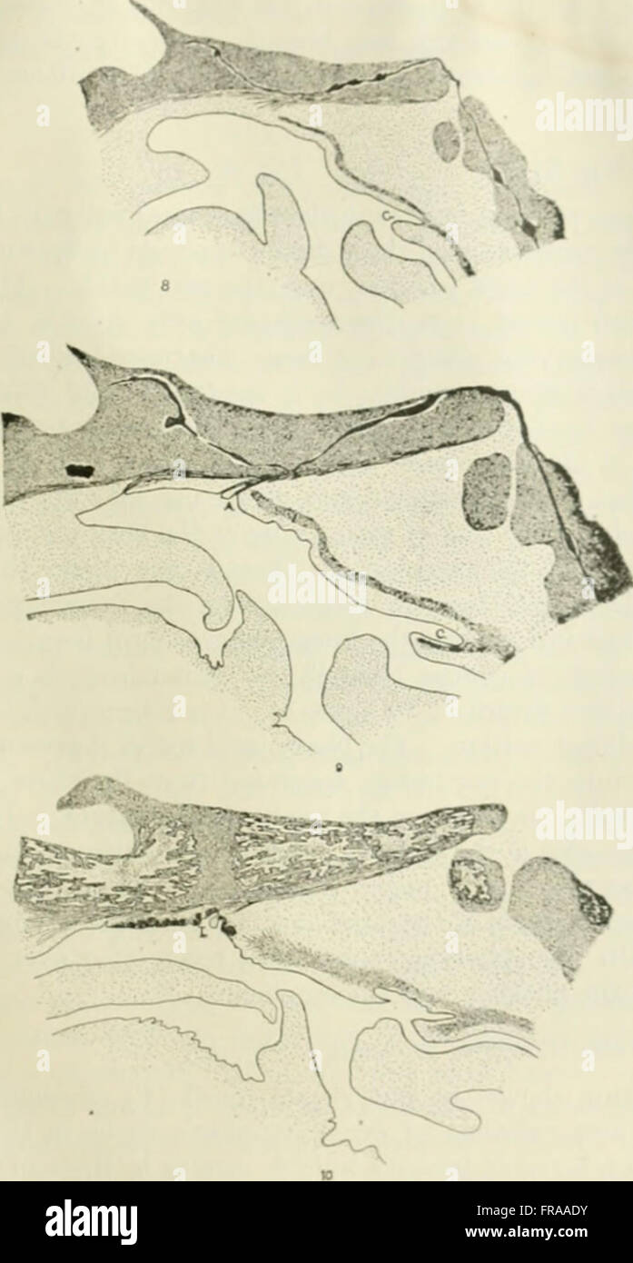 The Anatomical Record (1906) is a scholarly journal focusing on ...
