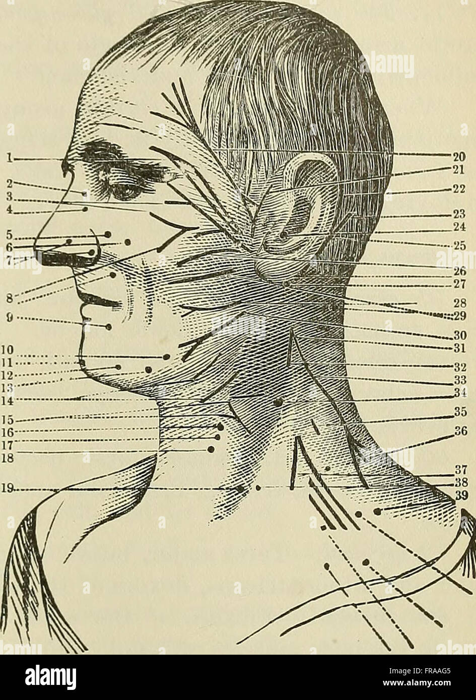 This work from 1910 discusses the early uses of X-rays, electro-therapy ...