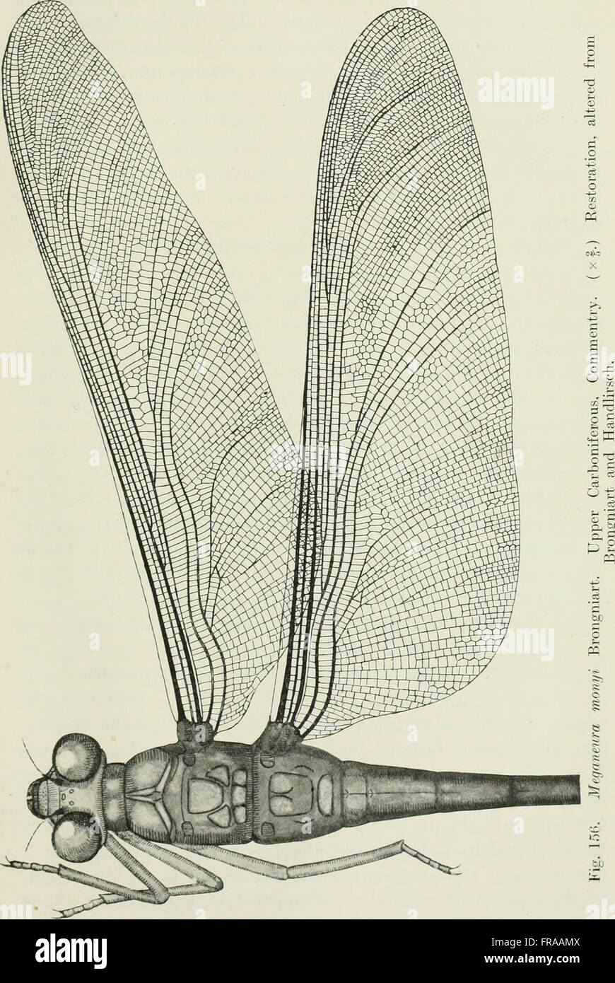 'The Biology of Dragonflies' (1917) offers a comprehensive study on the ...