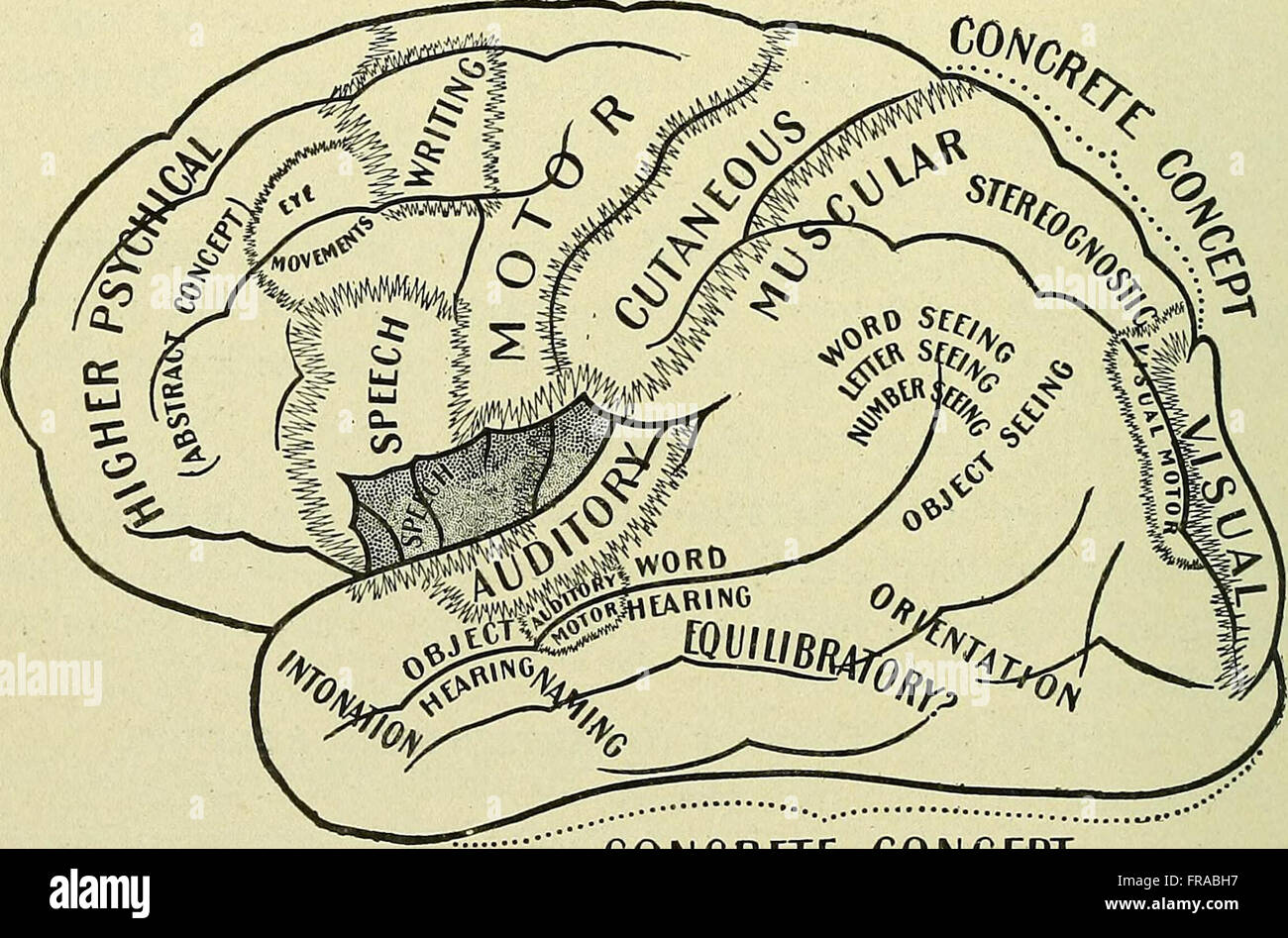 This 1913 textbook on anatomy and physiology is designed specifically ...