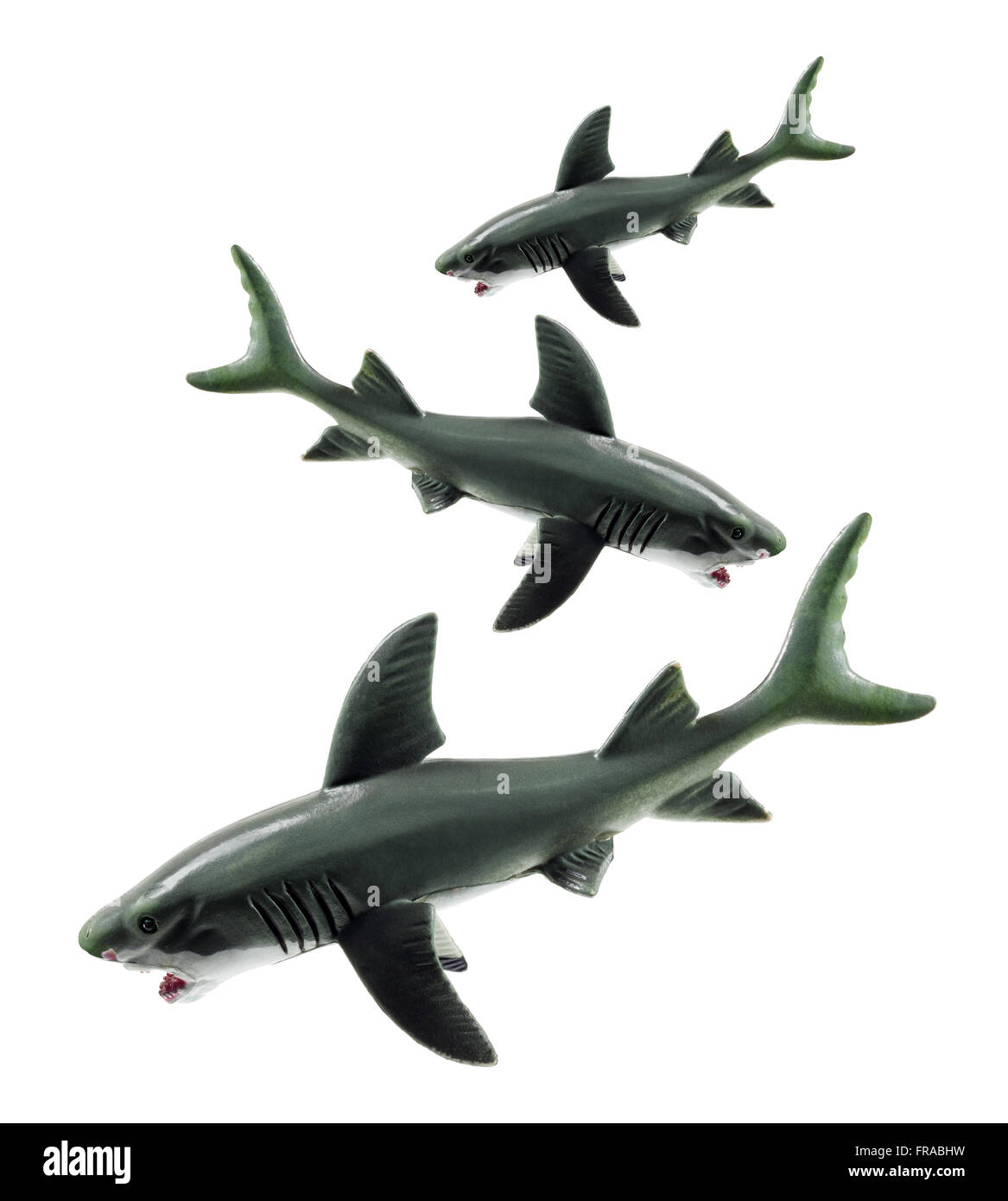 Sharks bite Cut Out Stock Images & Pictures - Alamy