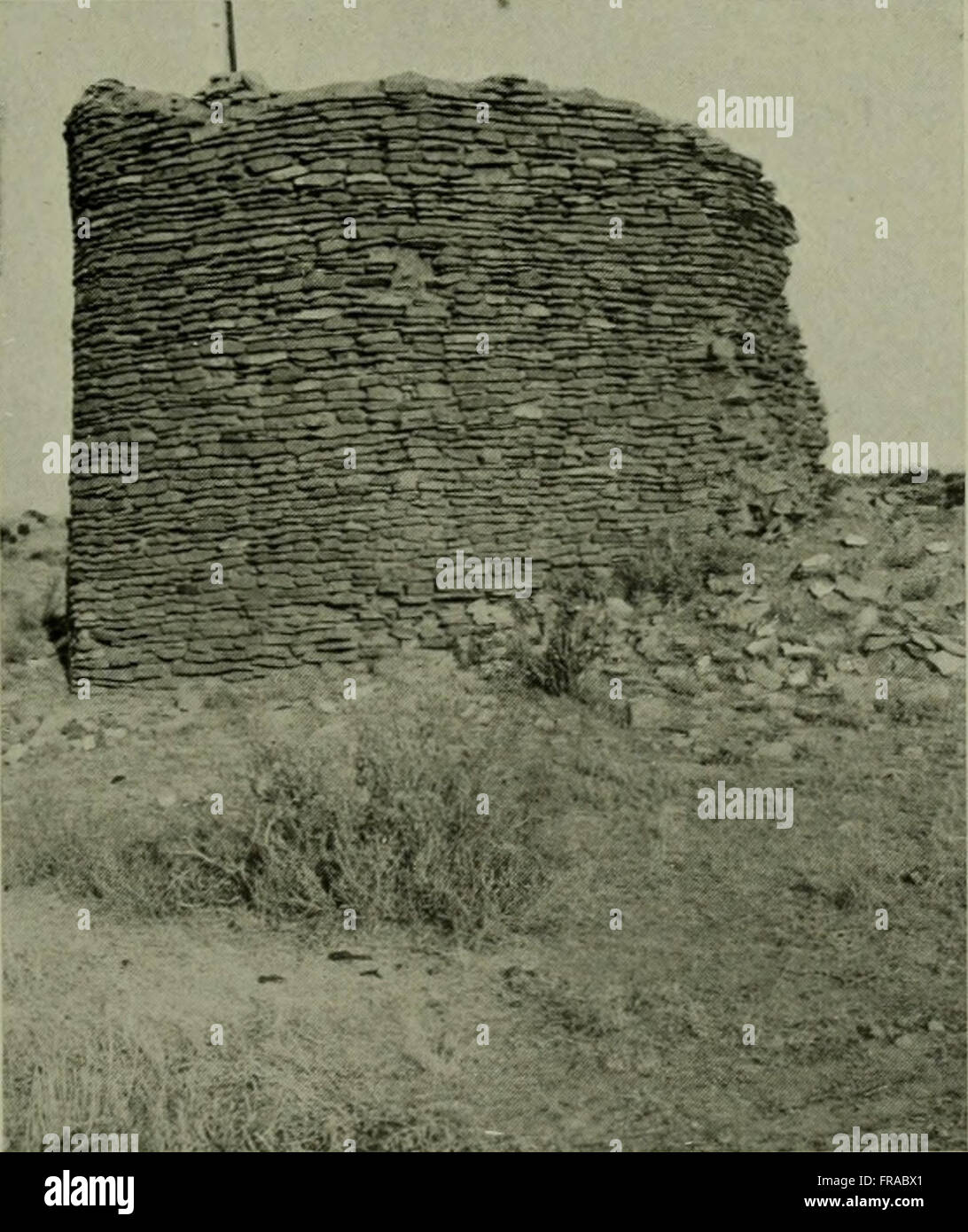 The American Museum journal (c1900-(1918 Stock Photo - Alamy