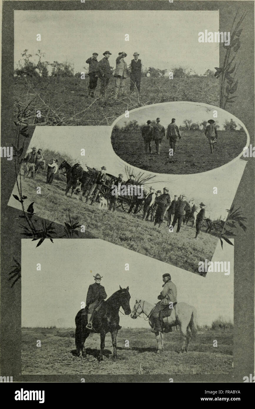 Western field (1905 Stock Photo - Alamy