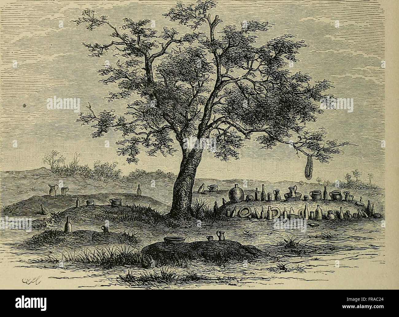 The History of Mankind (1896) provides a historical analysis of human ...