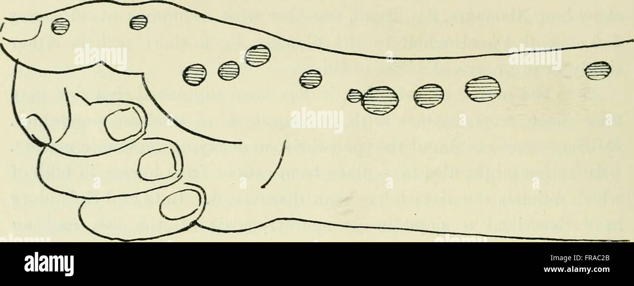 'The British Journal of Dermatology' (1888) was a medical publication ...