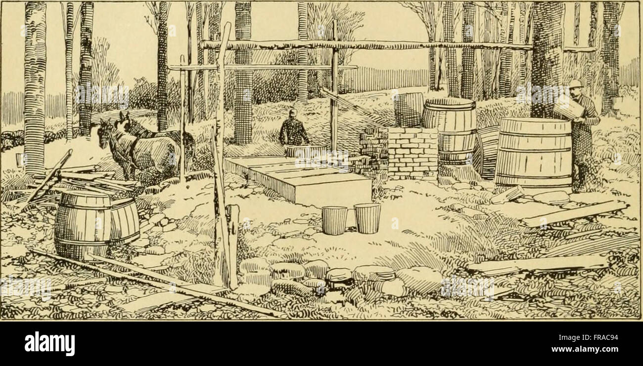 Published in 1916, this book chronicles the history and development of ...