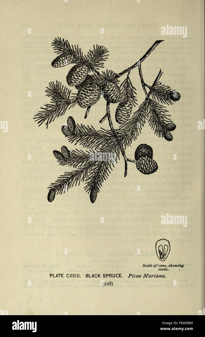 This guide offers detailed descriptions and classifications of various ...