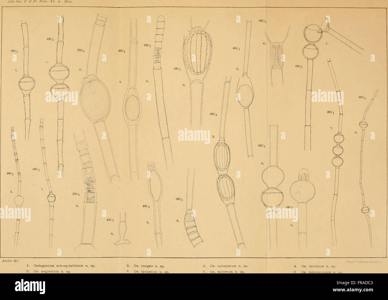 Soc font hi-res stock photography and images - Alamy