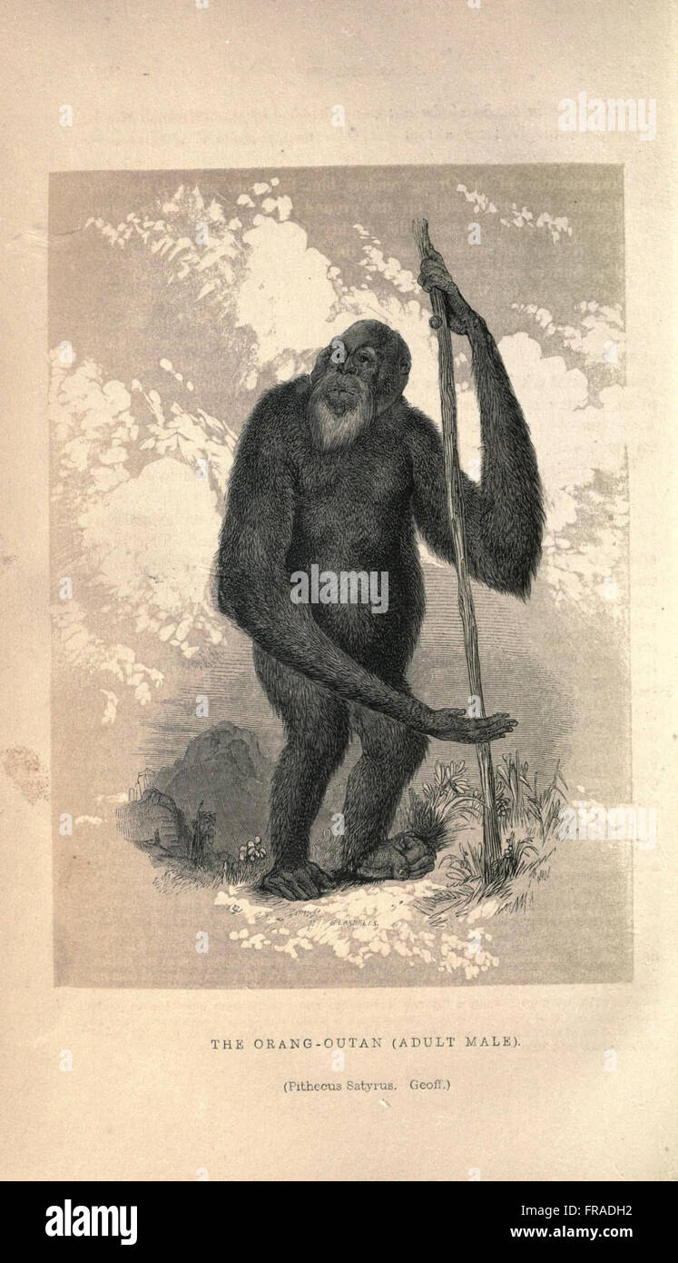 This introduction provides an overview of the natural history of ...