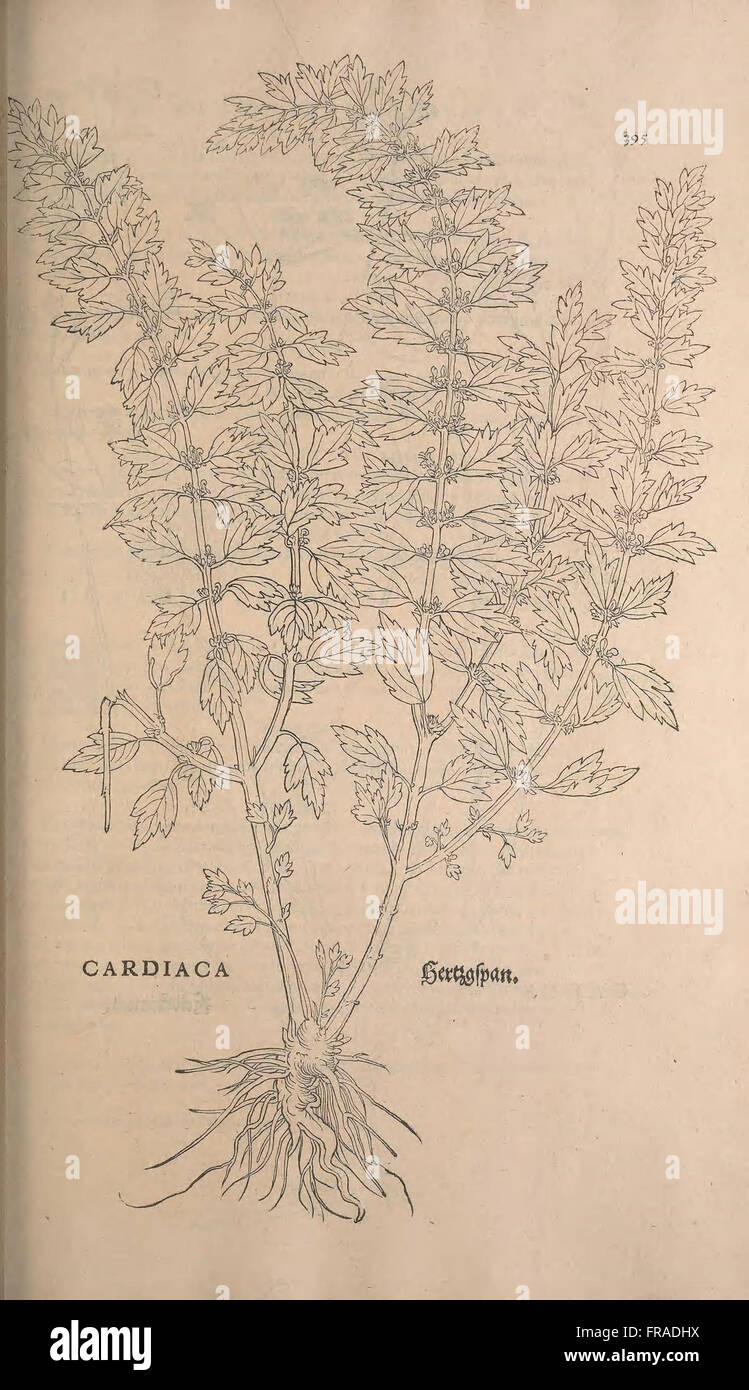 This Latin text, 'Commentaries on the History of Plants,' is a ...