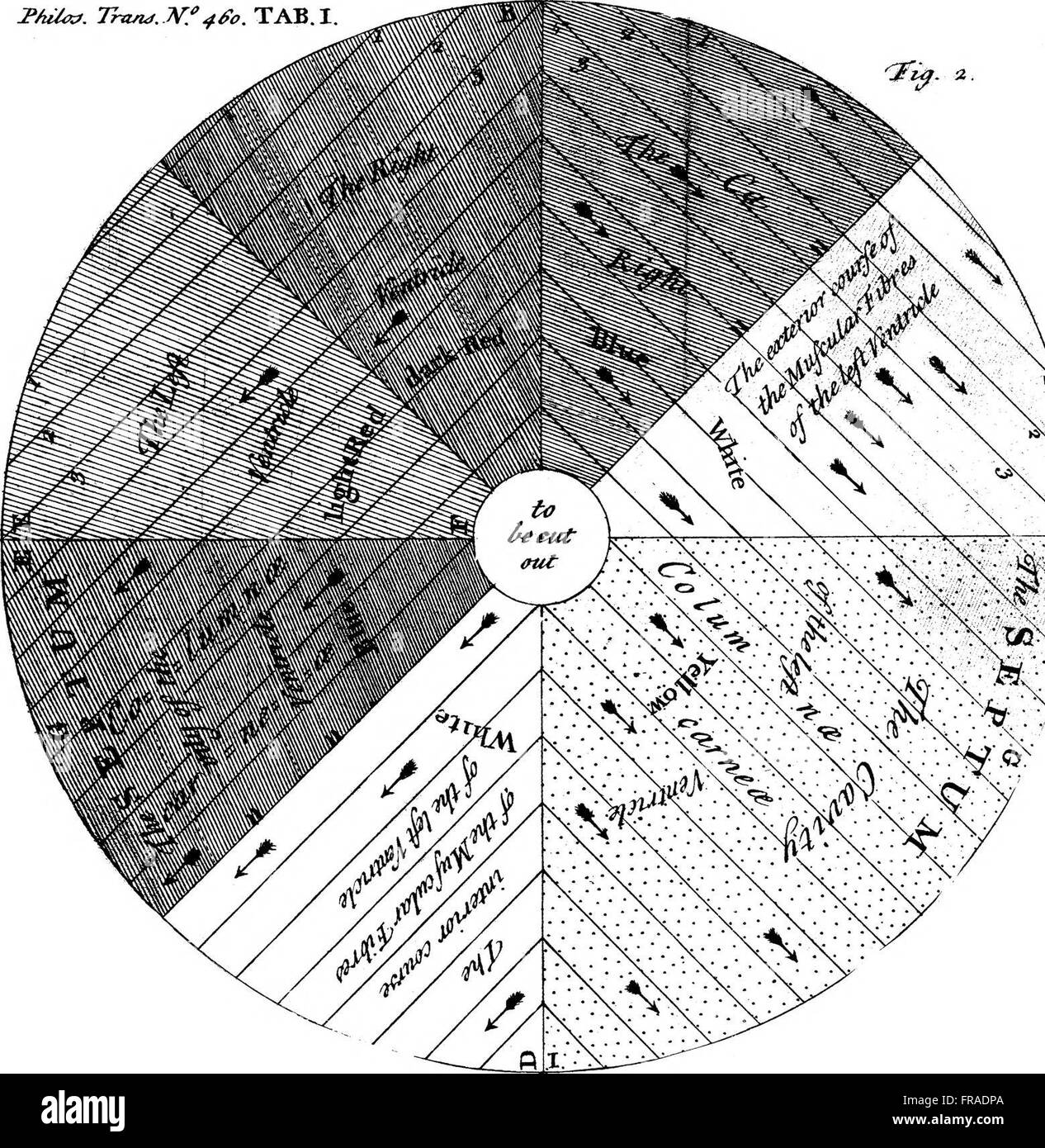 Letter d london Black and White Stock Photos & Images - Alamy