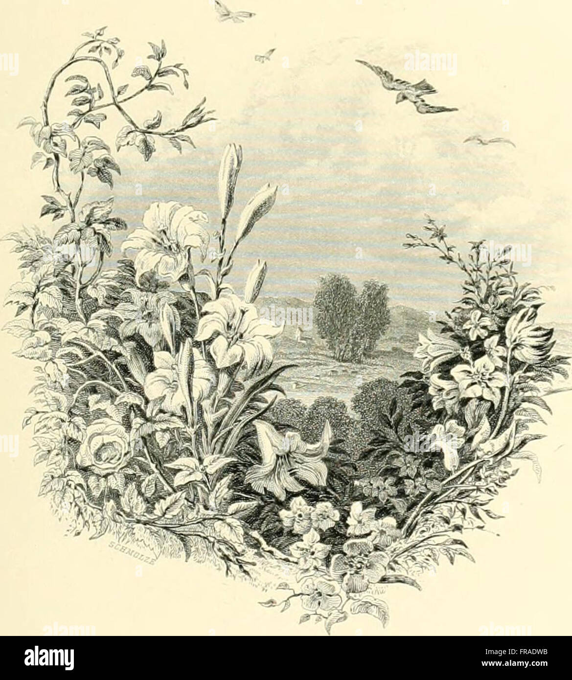 A gallery of famous English and American poets (1874 Stock Photo - Alamy