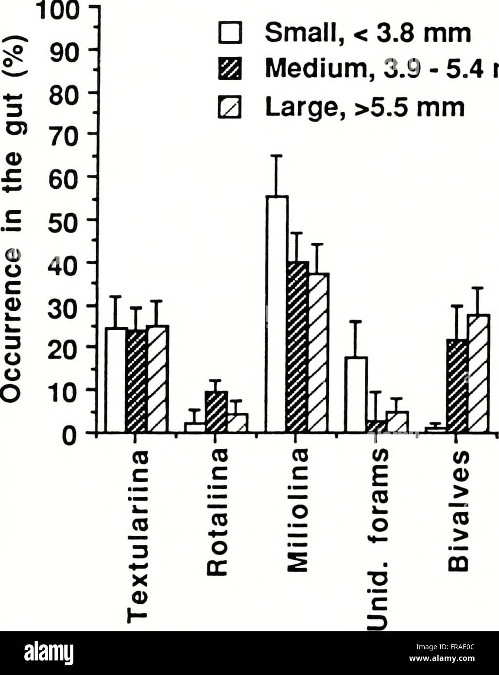 American malacological bulletin (1993 Stock Photo - Alamy